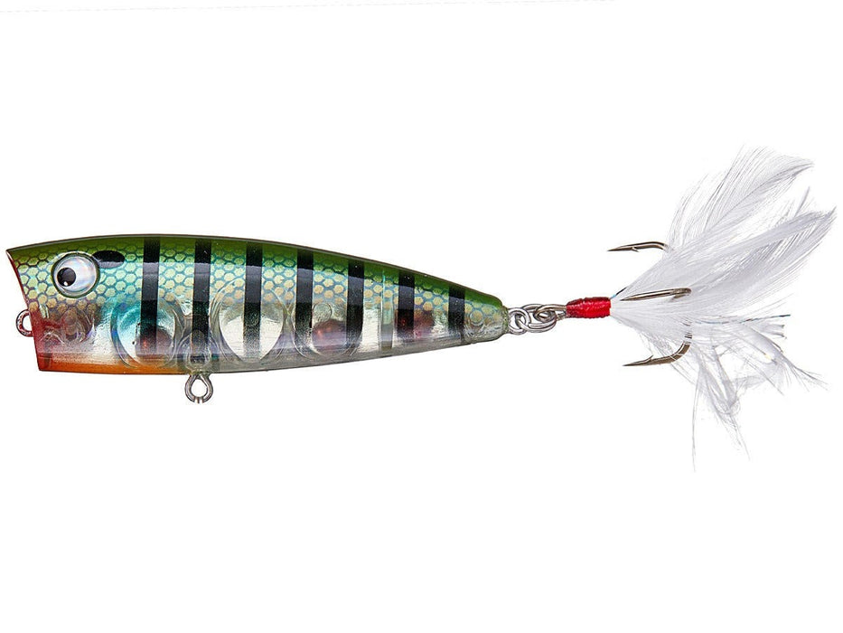 Lobina Lures Rico Popper — The Tackle Trap